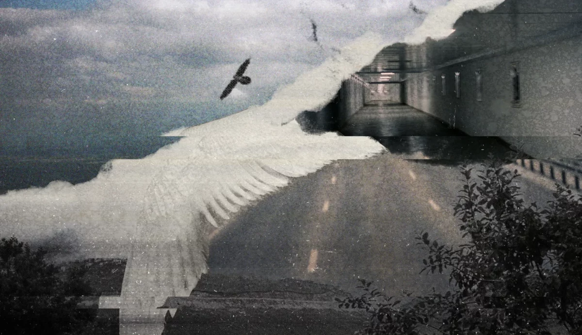 On Chechen Resistance and Postcolonial Solidarity – Anticapitalist ...