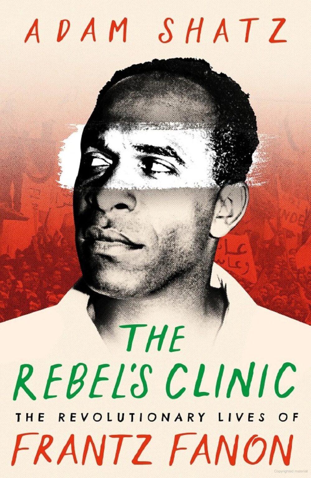 Frantz Fanon: Martinican, French, Algerian, African Revolutionary ...