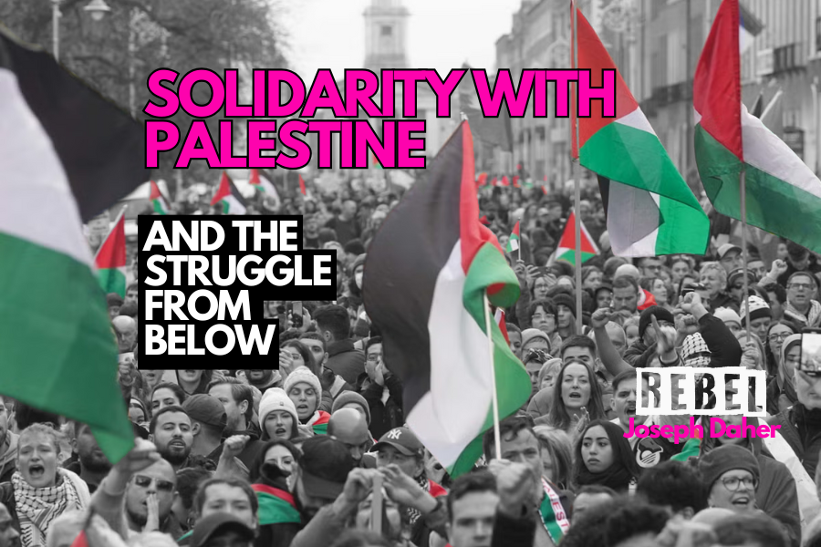 Solidarity with Palestine and the Struggle from Below – Anticapitalist ...