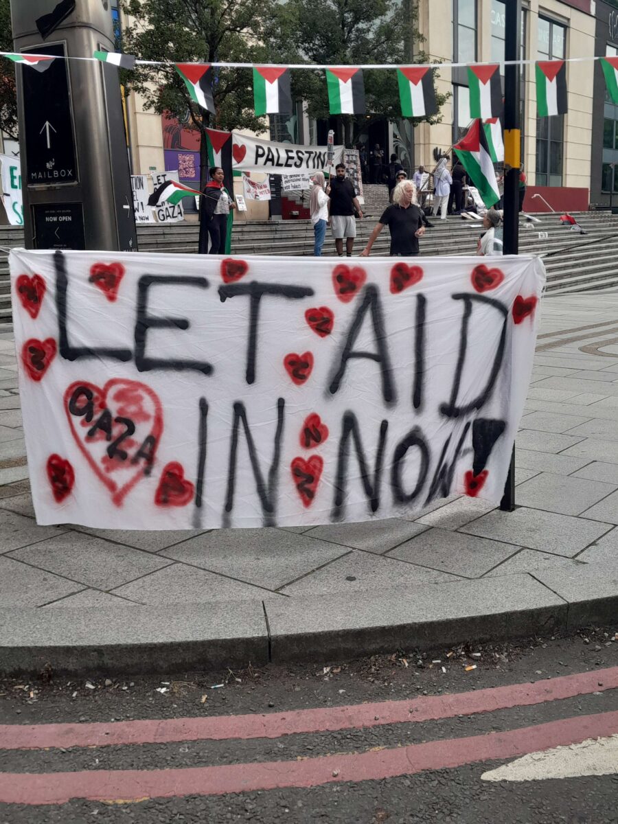 Palestine: The hypocrisies of misrecognition – Anticapitalist Resistance