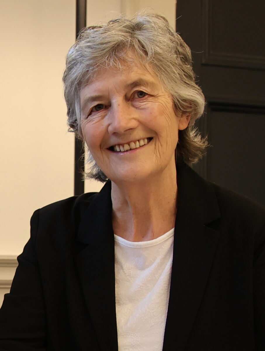 A president for all of Ireland – The Irish left finally unites ...